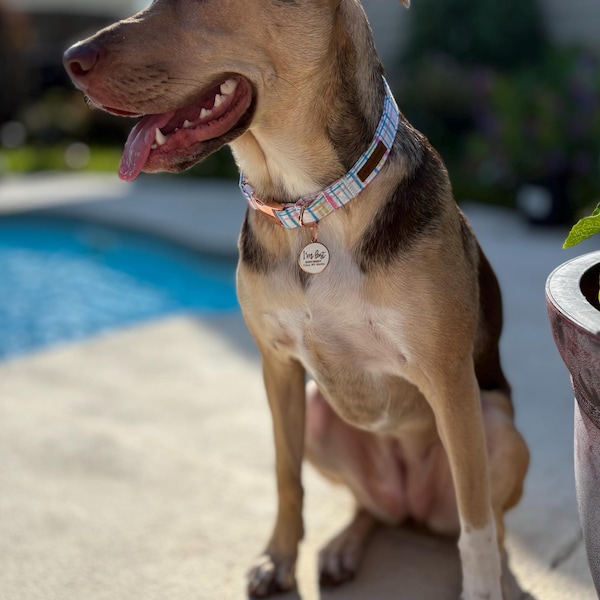Pet Id Tag • Dog Id Tag • Dog Tag for Dogs • Personalized Tags • Dog Id ...