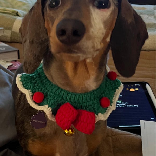 Crocheted Christmas Pet Collar - Festive Cat Dog Outfit Christmas ...