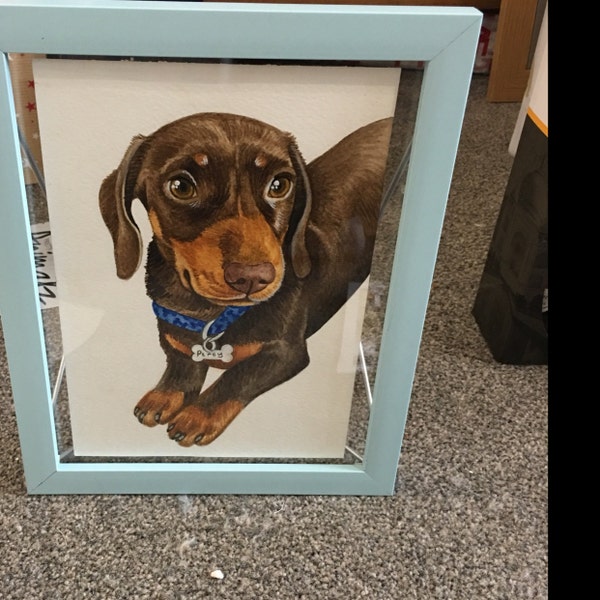 Rainbow Bespoke Pet Portrait - Bespoke Dog Art, Quirky Pet Portrait ...