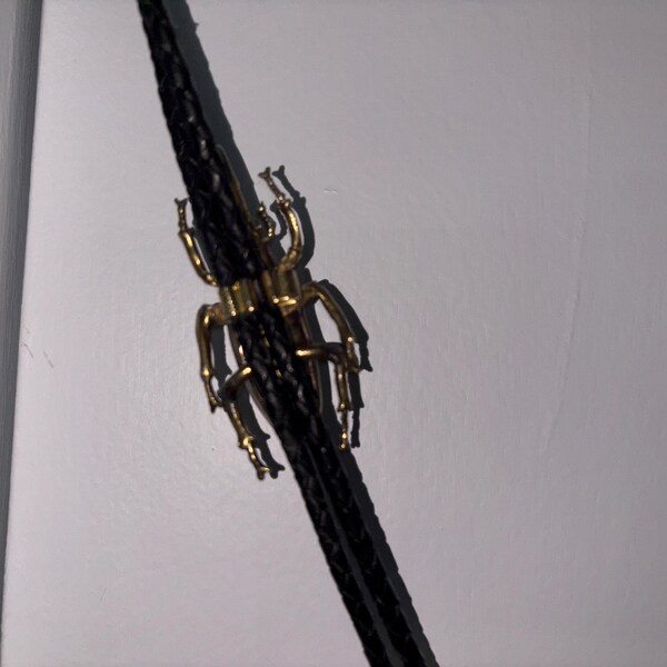 HERCULES - Big Bad Beetle Bolos - Brass Insect Bolo Tie Fashion Jewelry ...