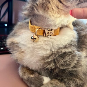 Custom Cat Collar Bell Bow in Blue Corduroypersonalized - Etsy