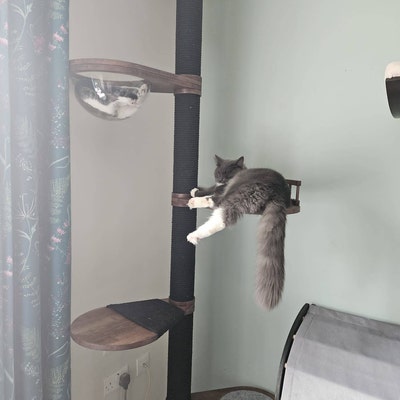 Cat Adjustable Tower Floor to Ceiling Cat Tower Wood Cat Tree Cat ...