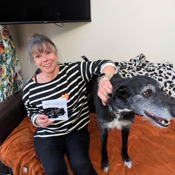 Greyhound Signed Original Lino Print - Snaws (teefs) - Etsy