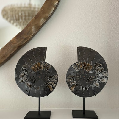 12 Metal Display Stand for Round Objects 5x5 Base - Etsy