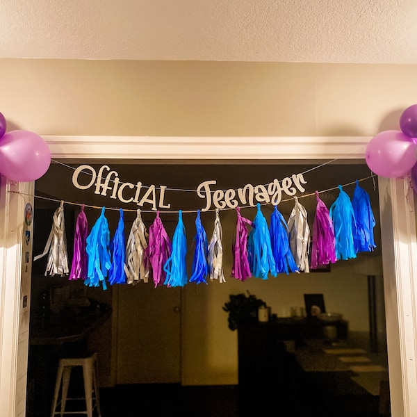 Official Teenager Banner, 13 Birthday, Official Teen, Finally Thirteen ...