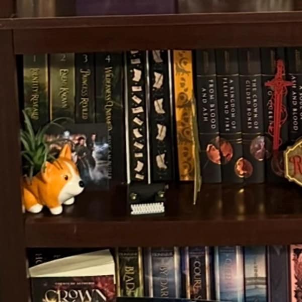 Complete Dragon Set | Black, Blue, Purple & Gold Dragons | Fourth Wing ...