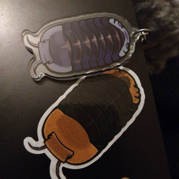 Isopod Artwork Acrylic Keychains Acrylic Cubaris Porcellio 20 Species ...