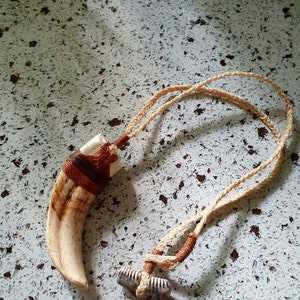 Hawaiian Banded Marble Cone Shell XL Men's or Women's - Etsy