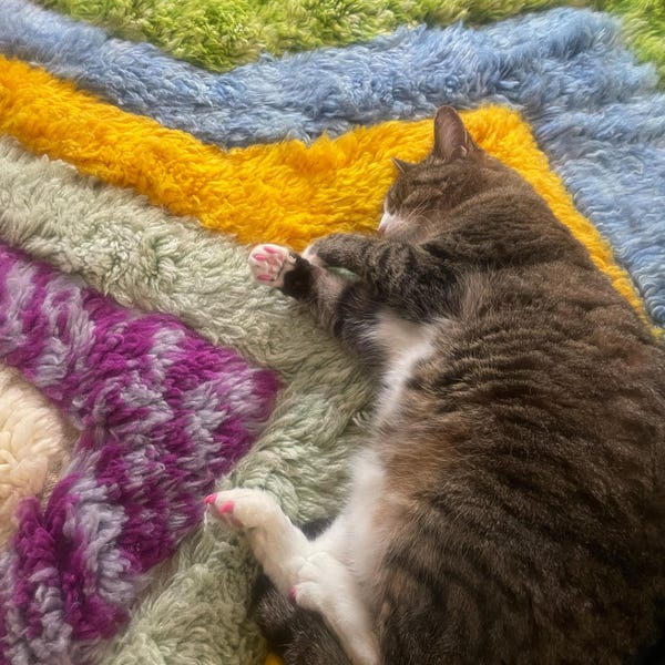 Custom Moroccan Rug With Neutral Beige , Hand Made Rug, off White Rug ...