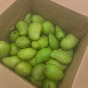 9-10lbs Fresh Exotic Fruit Box ACTUAL RARE FRUITS Overnight Shipping - Etsy