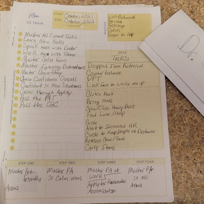 Service Dog Training Planner Socialization, Tasks,public Access ...