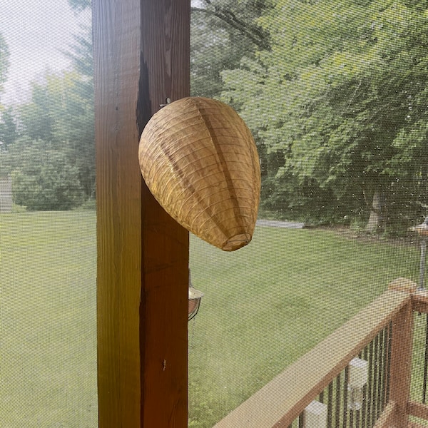 PDF Crochet Hornet Nest Pattern, Wasp Nest Pattern, Outdoor Crochet ...