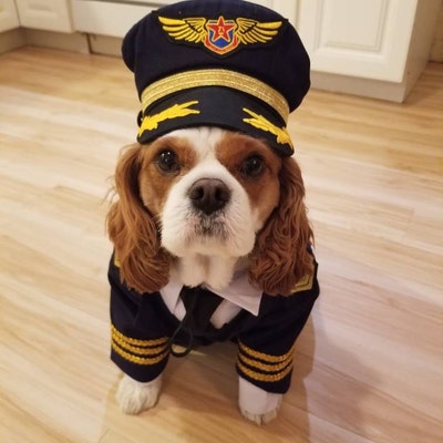 Custom Made Dog Cat Pet Pilot Captain Aviator Uniform Blazer Coat and ...