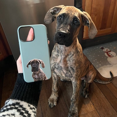 Custom Wrapping Paper Using Pet Photo Personalized Dog Christmas ...