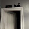 Black Labrador Door Topper Handmade Sitting on Top of Door Frame 3mm ...
