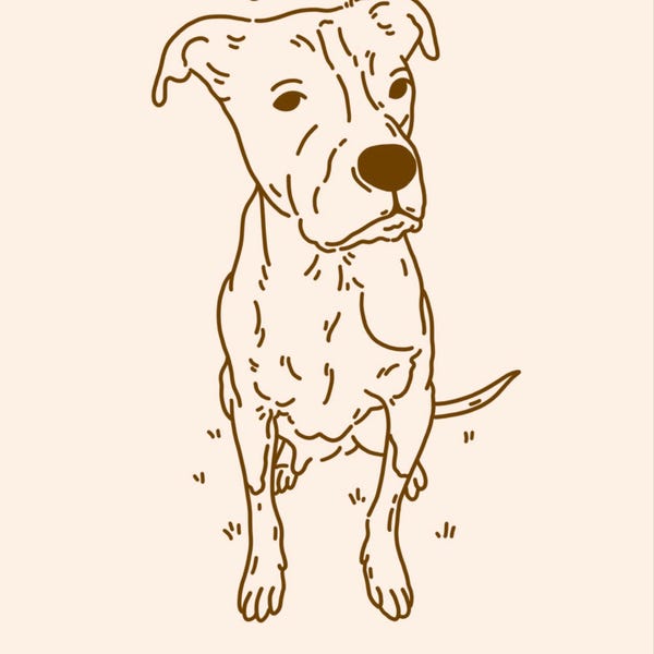 Custom Pet Portrait Custom Pet Drawing Hand Drawn Badly Drawn Dog Pet ...