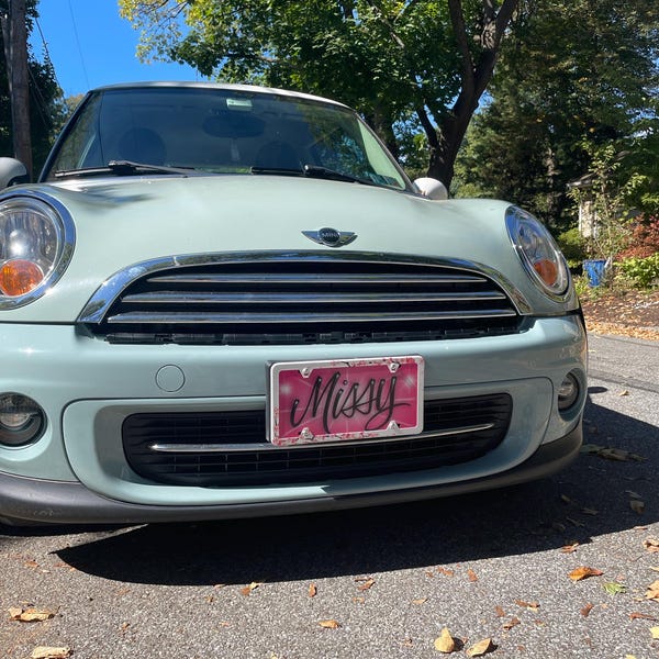 Airbrush License Plate | Custom License Plate Car Tag | Personalized ...