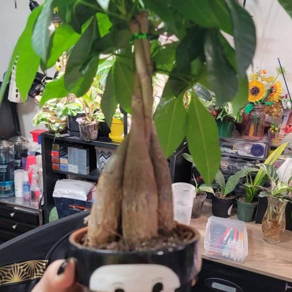Ghostface Halloween Plant Pot - Etsy