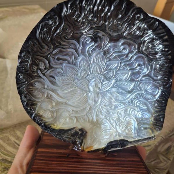 Carved Skull,wooden Human Skull With Centipede,skull Replica,skull Art ...