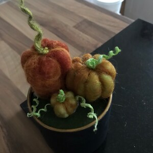 Needle Felting Border Collie Picture Kit - Etsy