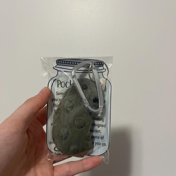 Pocket Pickle Sensory Comfort, Emotional Support Pickle Pet, Autism Toy ...