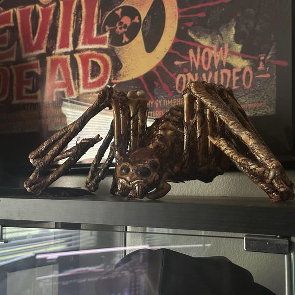 Custom Corpsed Skeletons - Etsy