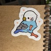 Dancing Birds Sticker Set Pack: Cockatiel, Budgie, Lovebird / Cute Bird ...