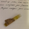 Deep Forest. Natural Cologne. Foraged Evergreen Botanical Fragrance ...