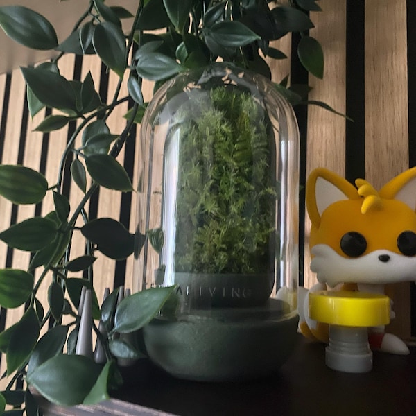 Cryomoss Live Moss Terrarium: the Time Capsule (S) - Mini Ecosystem ...
