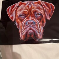 Harris Hawk Metal Wall Plaque With Stunning Fractal Art - Etsy UK