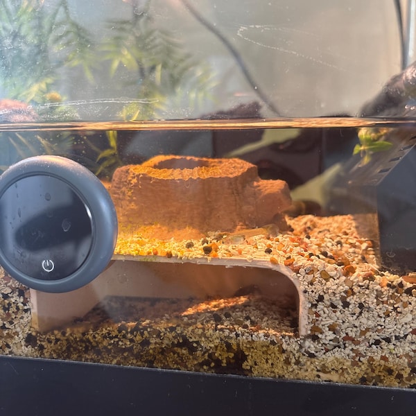 Finnex Stingray Original LED Light Riser, Attractive Stable Elevated ...