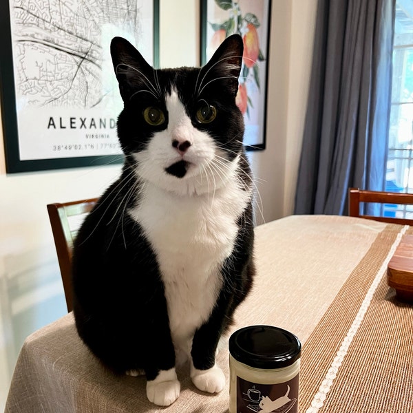 Flamingo Bookmark, Hot Girls Read Summer Bookmark, Beach Reads ...