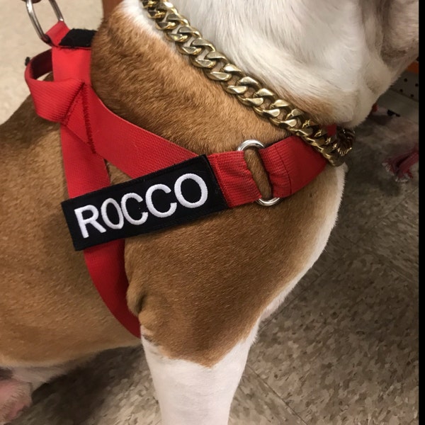 Custom / Personalized Harness Dog Patches - Set of 2 - - Etsy