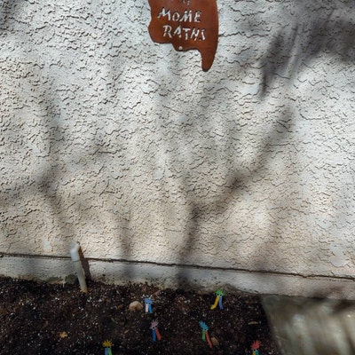 Mome Raths Plant and Garden Stake set of 6 Alice in Wonderland Free ...