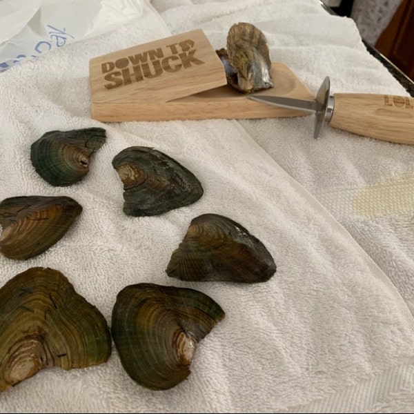 Monster Oysters - 15-30 Pearls Inside - Etsy