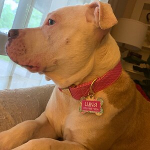 Pet ID Tag-new Large Pet Tag, 2x 1.25bone Tag. Personalized Dog, Pet ID ...