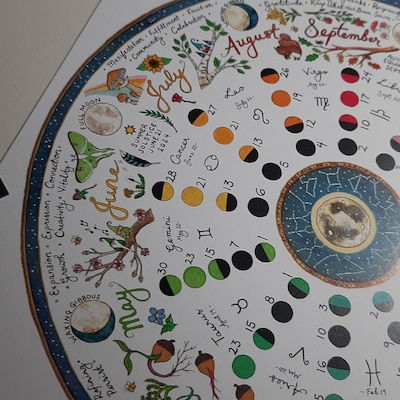 Mushroom Foraging Calendar an Illustrated Guide to Wild Edible ...