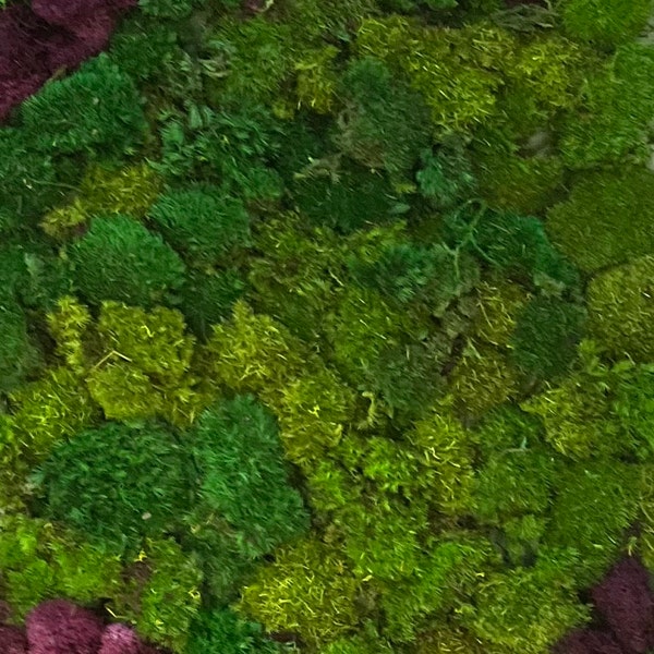 Prefleur Moss DIY Crafts Stabilized Preserved Pole Pillow Bun Cushion ...