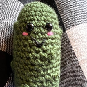 PATTERN ONLY, Easy Pickle Crochet Pattern, Instant DOWNLOAD - Etsy