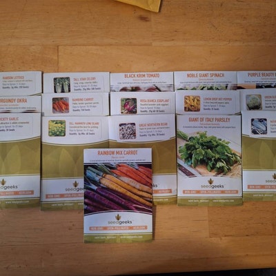 Northern Blazing Star Flower Seeds Heirloom Seeds, Native Seeds ...