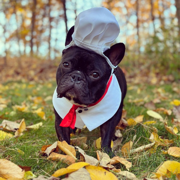 Halloween Chef Dog Cat Pet Costume, Kitchen Helper Assistant Costume ...