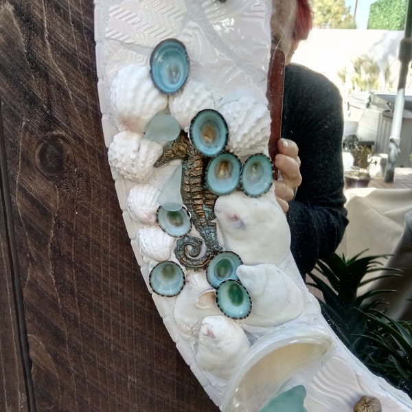 Ark Shells-baby Ark Shells-mini Shells for Crafting-small Shells Bulk ...