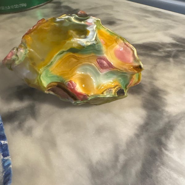 Agatized Turritella Shells - Etsy