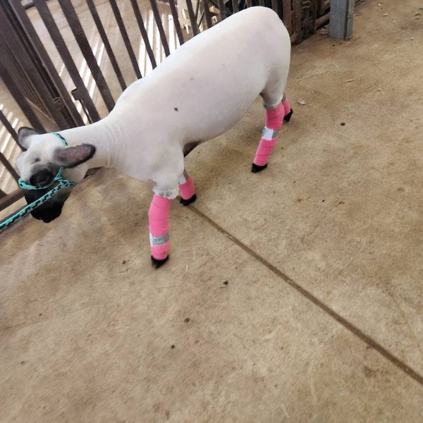 Sheep Leg Wraps, Goat Leg Wraps, Mini Horse Leg Wraps, Glittery Wraps ...