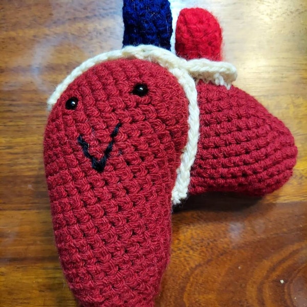 Crochet Anatomical Liver Pattern - Anatomy Learning Tool (PDF Pattern ...
