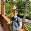 Goose Outfits Pattern for RUFFLED DRESS and Accessories. CHOOSE From 2 ...