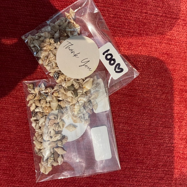 10 Mussel Shells, Varnished / Unvarnished. Fab for Wreaths & Wedding ...