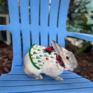 Autumn Ginkgo Wool Short Dress Pet Bunny Dress/harness - Etsy