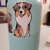 Australian Shepherd Sticker Aussie Chibi Puppy Dog, Vinyl, Hand Drawn ...