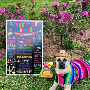 I Survived My First Day of Kindergarten Sign so Did Mommy | Etsy